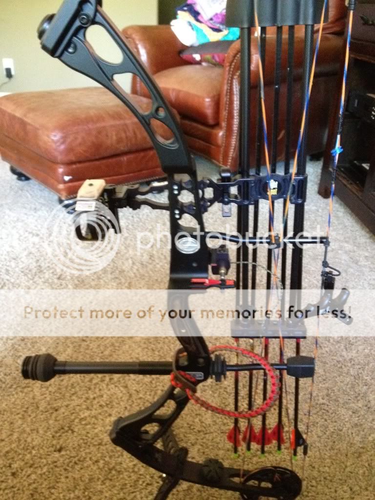 Blue and orange strings on a black bow? | Archery Talk Forum